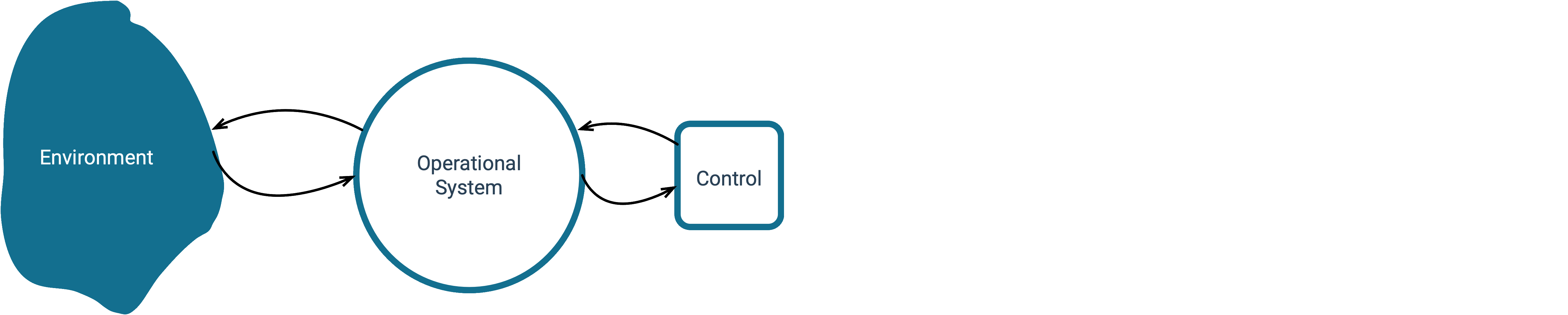 Viable System Model Vsm Training